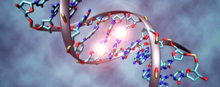 La genética del cáncer – Salud y Medicina