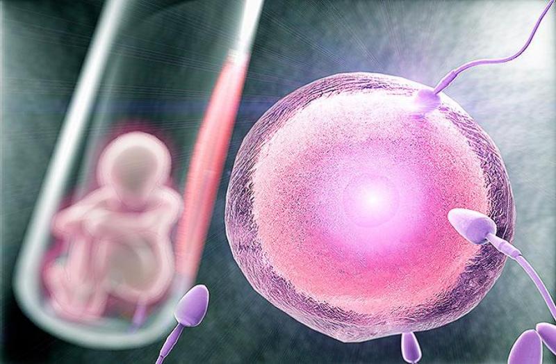 230.000 embriones congelados esperan para ser usados – Salud y Medicina