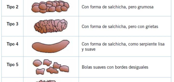 heces – Salud y Medicina
