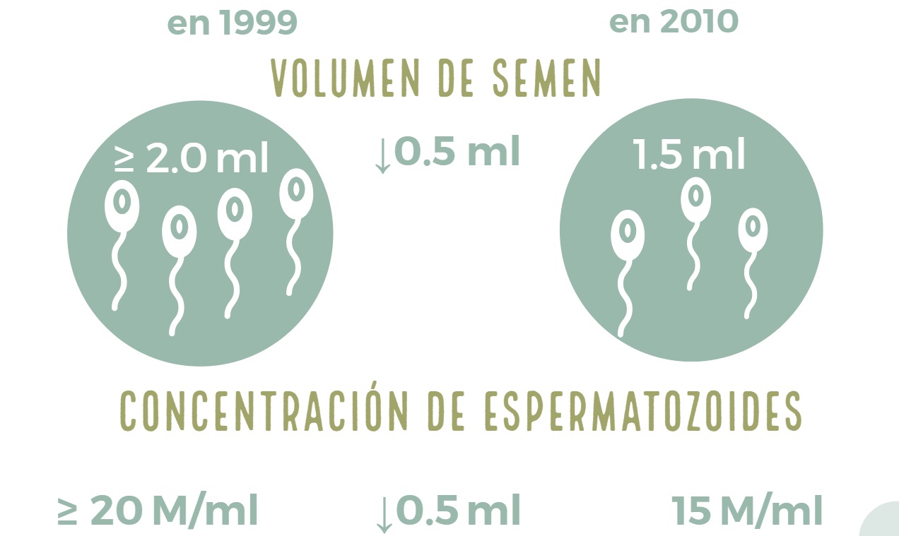 La calidad del esperma se ha reducido en un 60% en cuatro décadas – Salud y Medicina